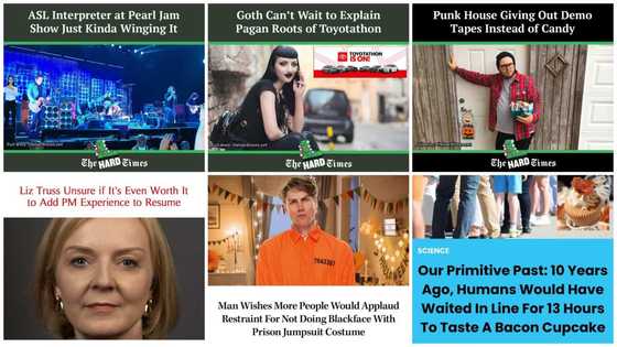 Funny fake news headlines that are sure to make you crack up - Legit.ng