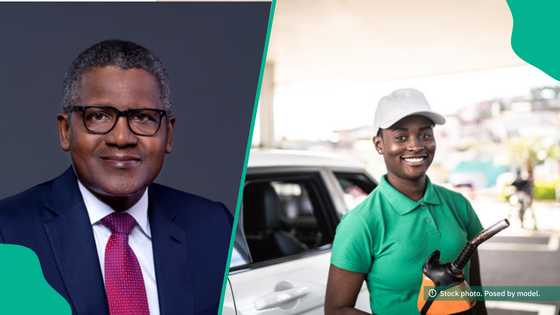 Price War: BOVAS, Eternal Oil, Other Companies Import Fuel to Compete ...