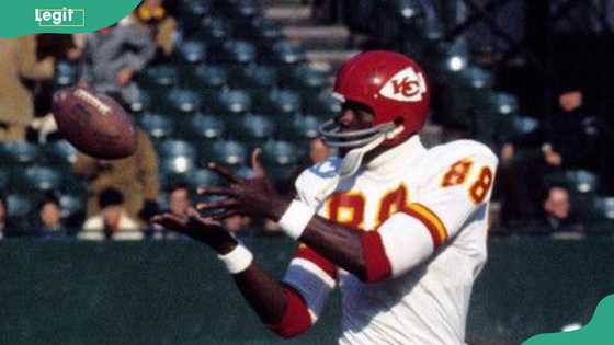 Who is the tallest NFL player? 25 tallest players of all time - Legit.ng