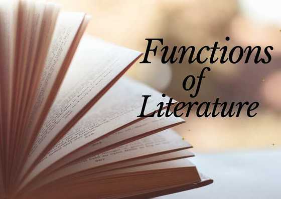 Top 10 functions of literature everyone should know about - Legit.ng