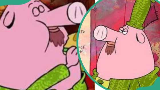 What are the Chowder characters? The creatures and voice actors ...