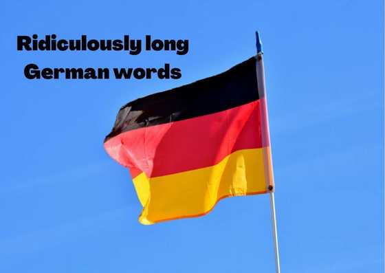 30+ ridiculously long German words and their meanings in English - Legit.ng