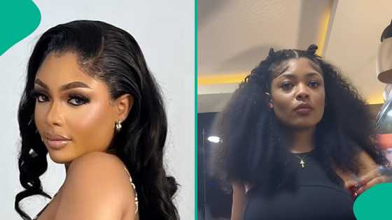 Comfort Emmanson: 4 Interesting Facts about Viral Ibom Air Passenger ...