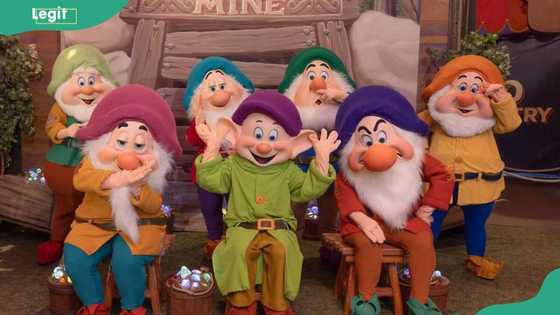 7 dwarfs' names from Snow White, their personalities and fun facts ...