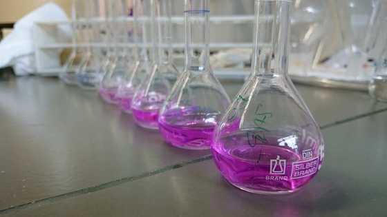 25 most common laboratory equipment and their uses with pictures - Legit.ng