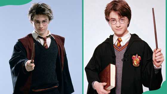 20 most famous wizards of all time from history and fiction - Legit.ng