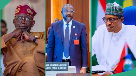 “What Tinubu Did for Buhari to Become President,” Sunday Dare Speaks, Video Trends - Legit.ng