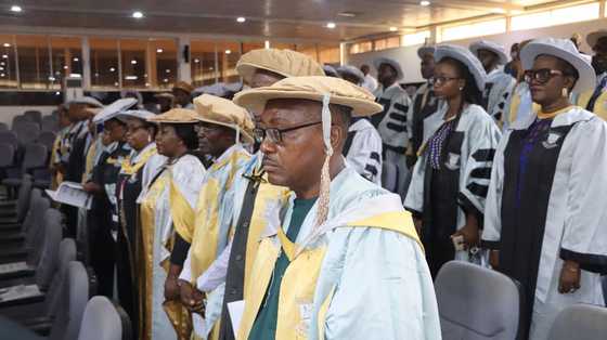 Baze University undergraduate courses, admission requirements and how ...