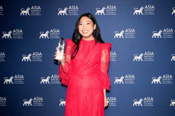 25 best Asian comedians to check out when you need a laugh - Legit.ng