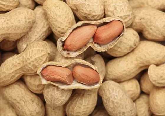 10 health benefits of groundnut - Legit.ng