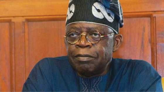 Meaning of Jagaban: facts you should know - Legit.ng