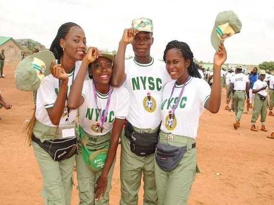 NYSC certificate number verification guidelines - Legit.ng
