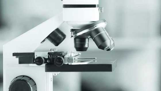 Different meanings of LPO - Legit.ng