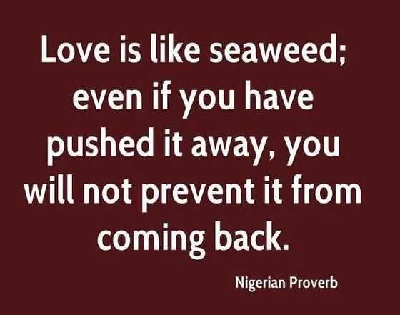 Top 15 Nigerian proverbs and their meanings - Legit.ng