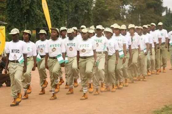 NYSC state codes in Nigeria - Legit.ng