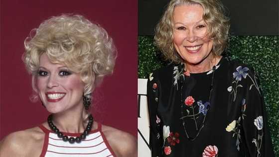 Jane Curtin biography: Age, husband, daughter, movies and TV shows ...