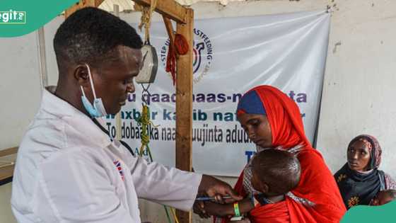 List of NGOs in Nigeria and their activities: Be in the know - Legit.ng