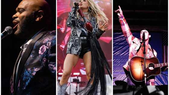 33 male Hallmark actors: The channel’s most popular leading men - Legit.ng