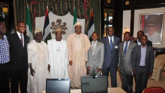 What is IPPIS number and where to check it: a simple guide - Legit.ng