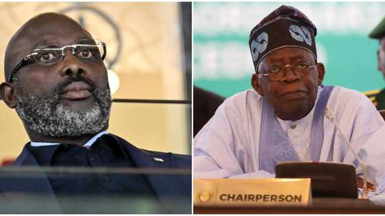 Christabel: What is the meaning of this beautiful name? - Legit.ng