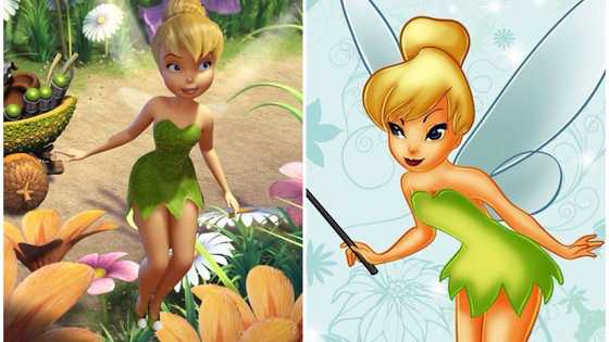 45 Tinker Bell characters: get to know your favourite fairies - Legit.ng