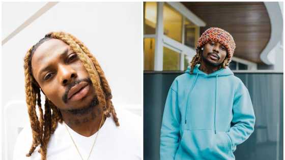 TG Omori’s biography: everything about the music video director - Legit.ng