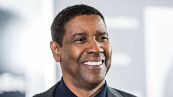 Steven Greener’s biography: Age, nationality, net worth, wife - Legit.ng