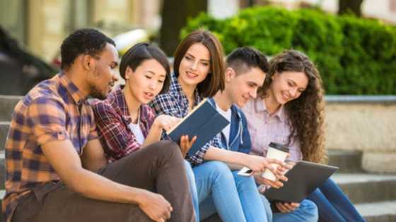 What is integrated science all about? - Legit.ng