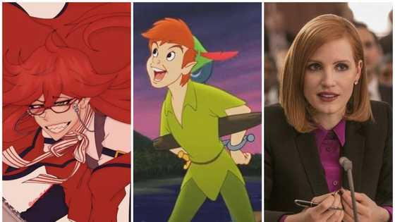 45 Tinker Bell characters: get to know your favourite fairies - Legit.ng