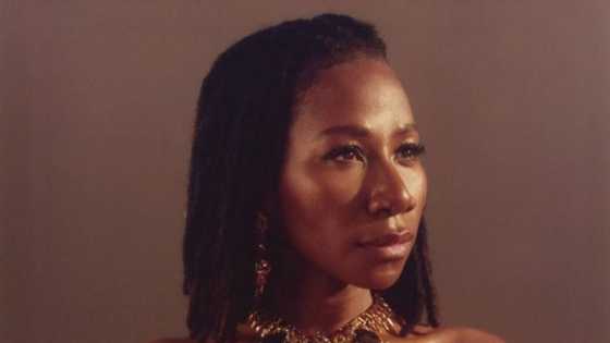 List of all Adina songs so far - Legit.ng