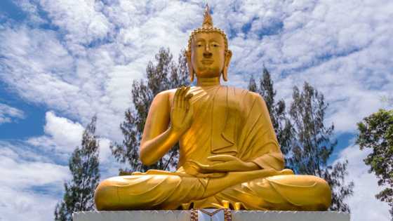 What is the Taxi Cab theory? Origin and popularity explained - Legit.ng