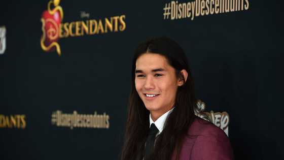 Luka Sabbat bio: age, height, parents, ethnicity, girlfriend - Legit.ng