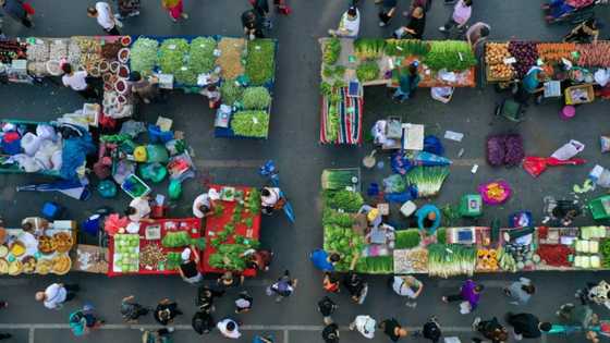 What is the scale of preference in economics? Definition, why is it ...