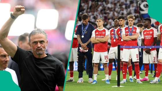 Sports News, Daily Results and Fixtures Updates on Legit.ng News