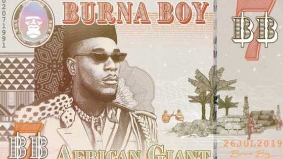 Hausa musical instruments and their names - Legit.ng