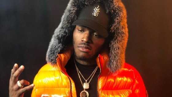 Brian Conley's biography: age, brother, wife, net worth, house - Legit.ng