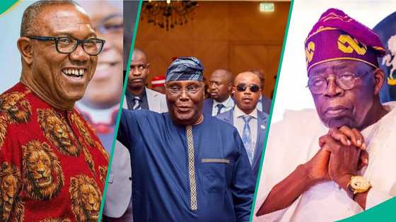 Nigeria News - Latest Naija Updates and Reports Today on Legit.ng