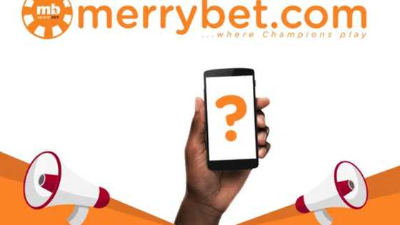 How to get an Opay POS machine: a step-by-step guide for applying ...