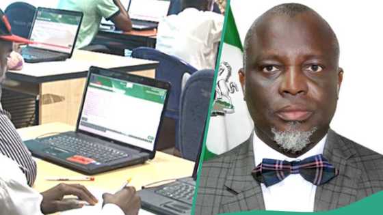 JAMB 2024: How to check and print your exam results at home - Legit.ng