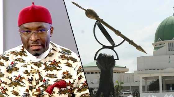 Bebahan’s biography: age, height, real name, nationality, boyfriend ...