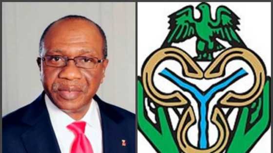 SCUML registration requirements, guidelines, portal, certificate ...