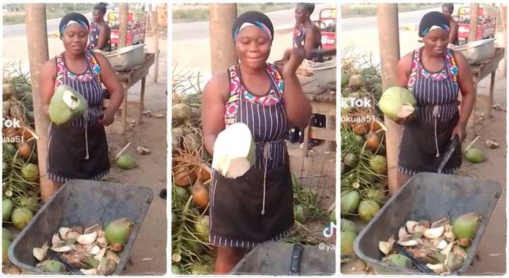 "You Are Too Much": Beautiful Lady Who Sells Coconut Peels it in a ...
