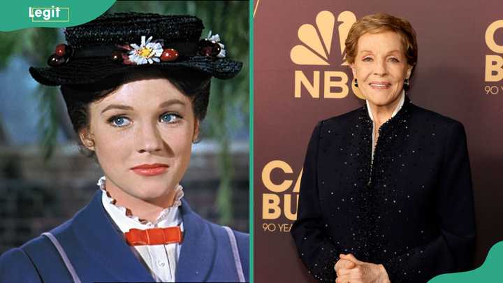 Mary Poppins cast: Where are the talented actors now? - Legit.ng
