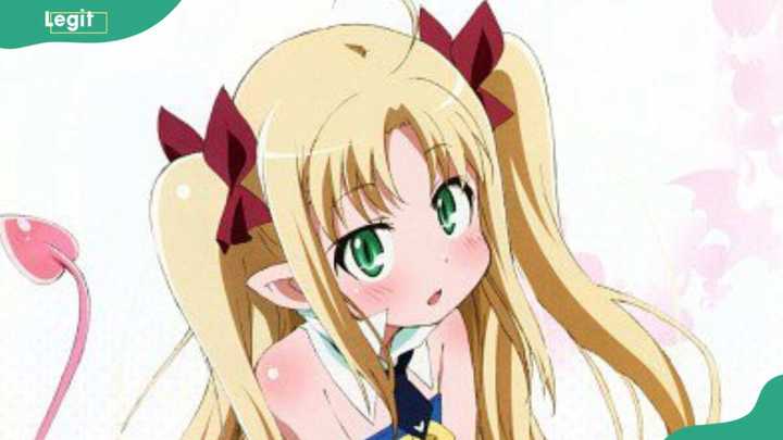 26 popular anime succubus characters: The most enchanting belles - Legit.ng