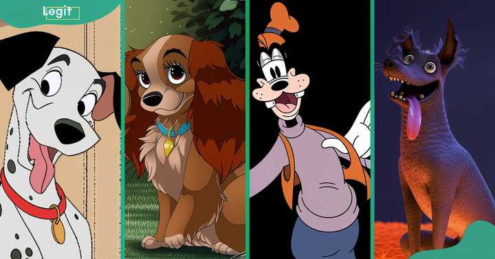 20+ iconic Disney dogs that defined our childhoods - Legit.ng