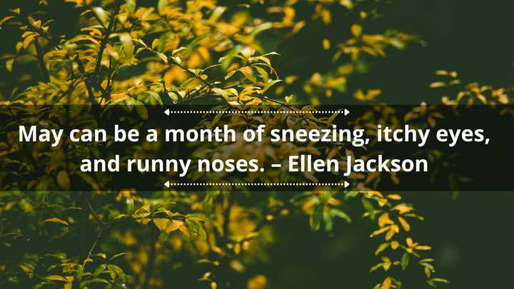 80 inspirational May quotes to celebrate the season of growth and ...