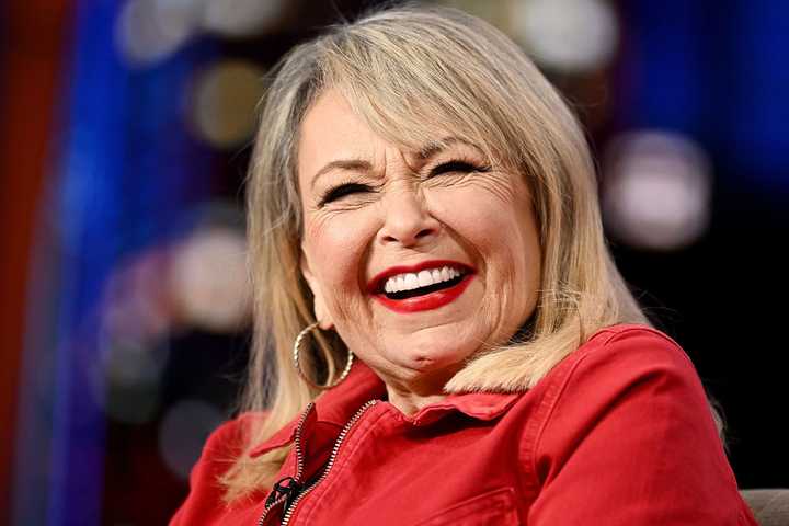 Cast of Roseanne: where are they now? The main characters' lives ...