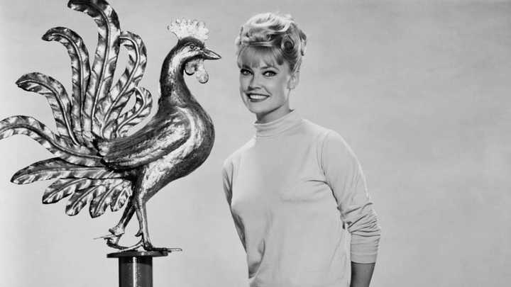 33 famous people named Chris in Hollywood and beyond - Legit.ng