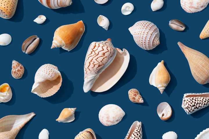 33 symbols of strength found in different cultures - Legit.ng