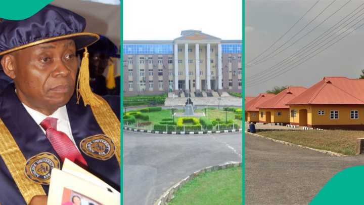 School Fees, Courses at Adeleke University Owned By Davido's Father ...